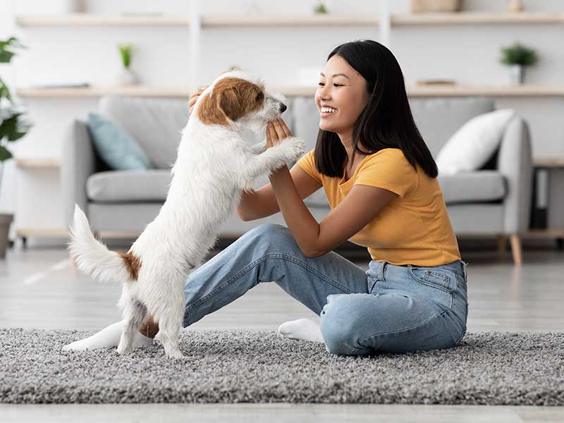 Welcome to Northern Credit Union! | Northern Credit Union